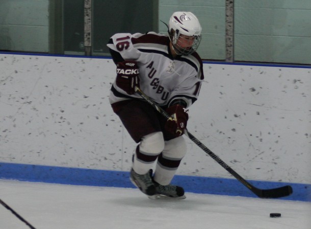 Erica Berthold - Women's Ice Hockey - Augsburg University Athletics