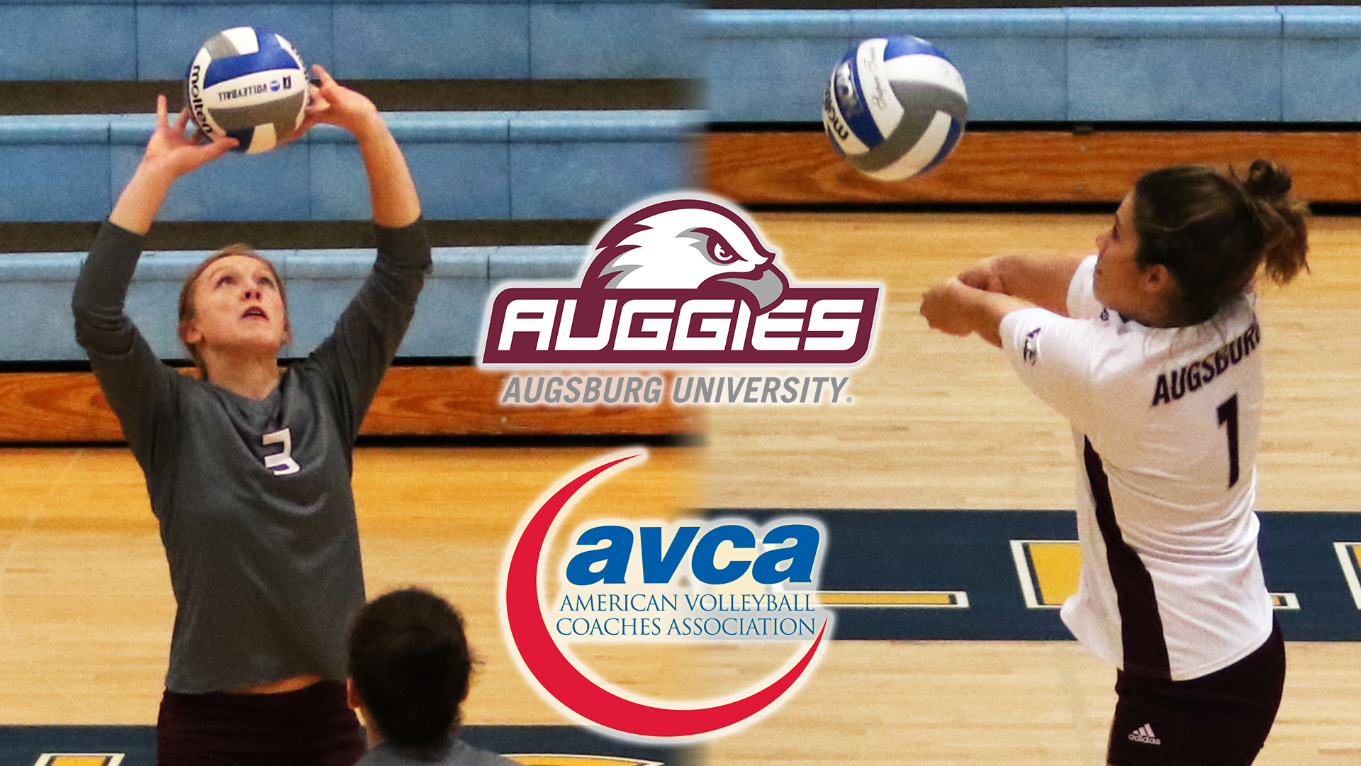 Morgan Malley - Volleyball - Augsburg University Athletics