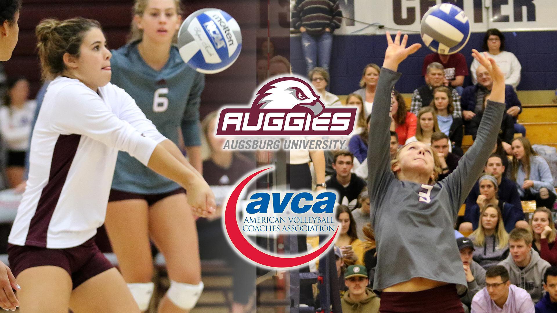 Morgan Malley - Volleyball - Augsburg University Athletics