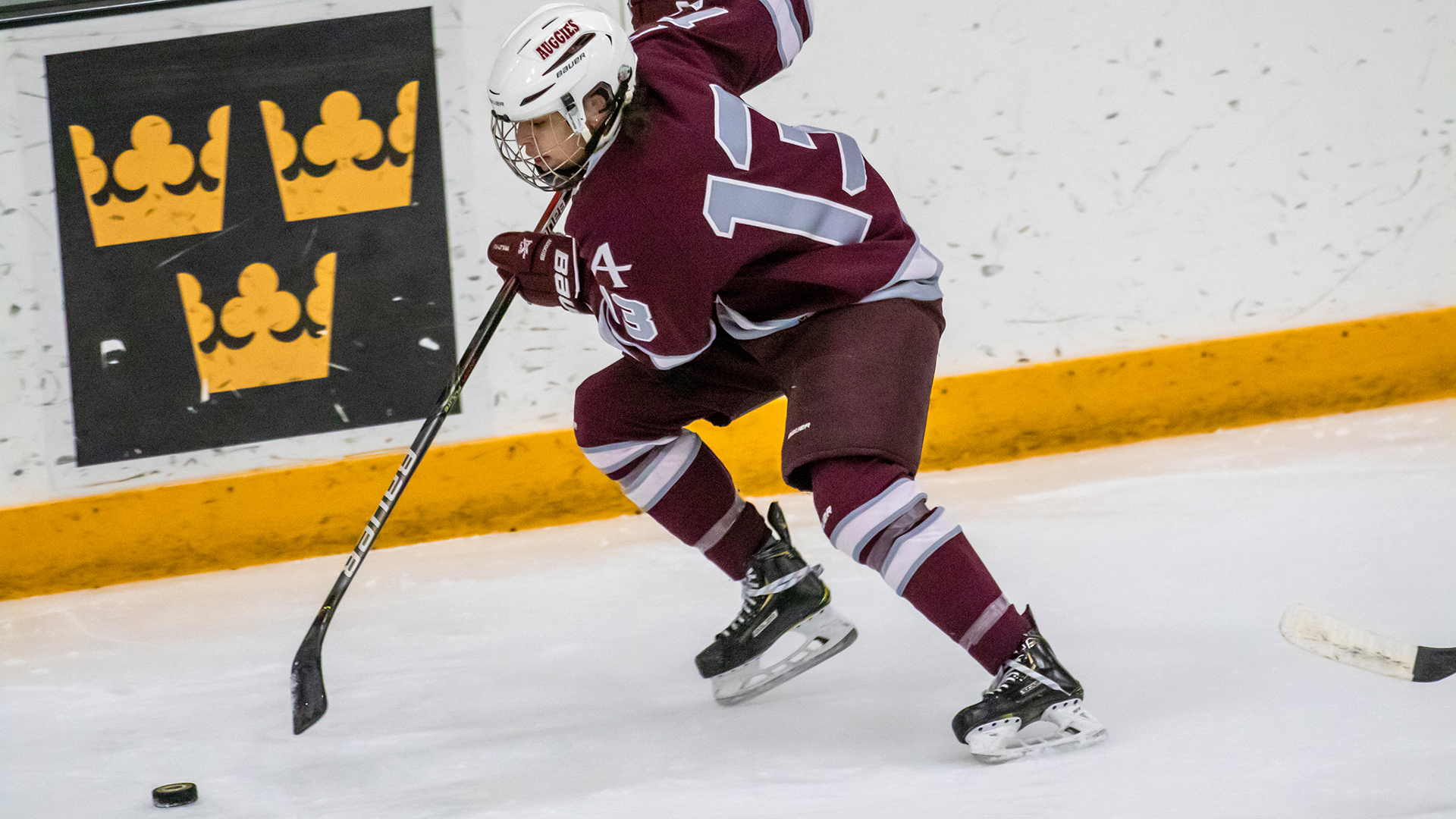 Nikki Nightengale - Women's Ice Hockey - Augsburg University Athletics