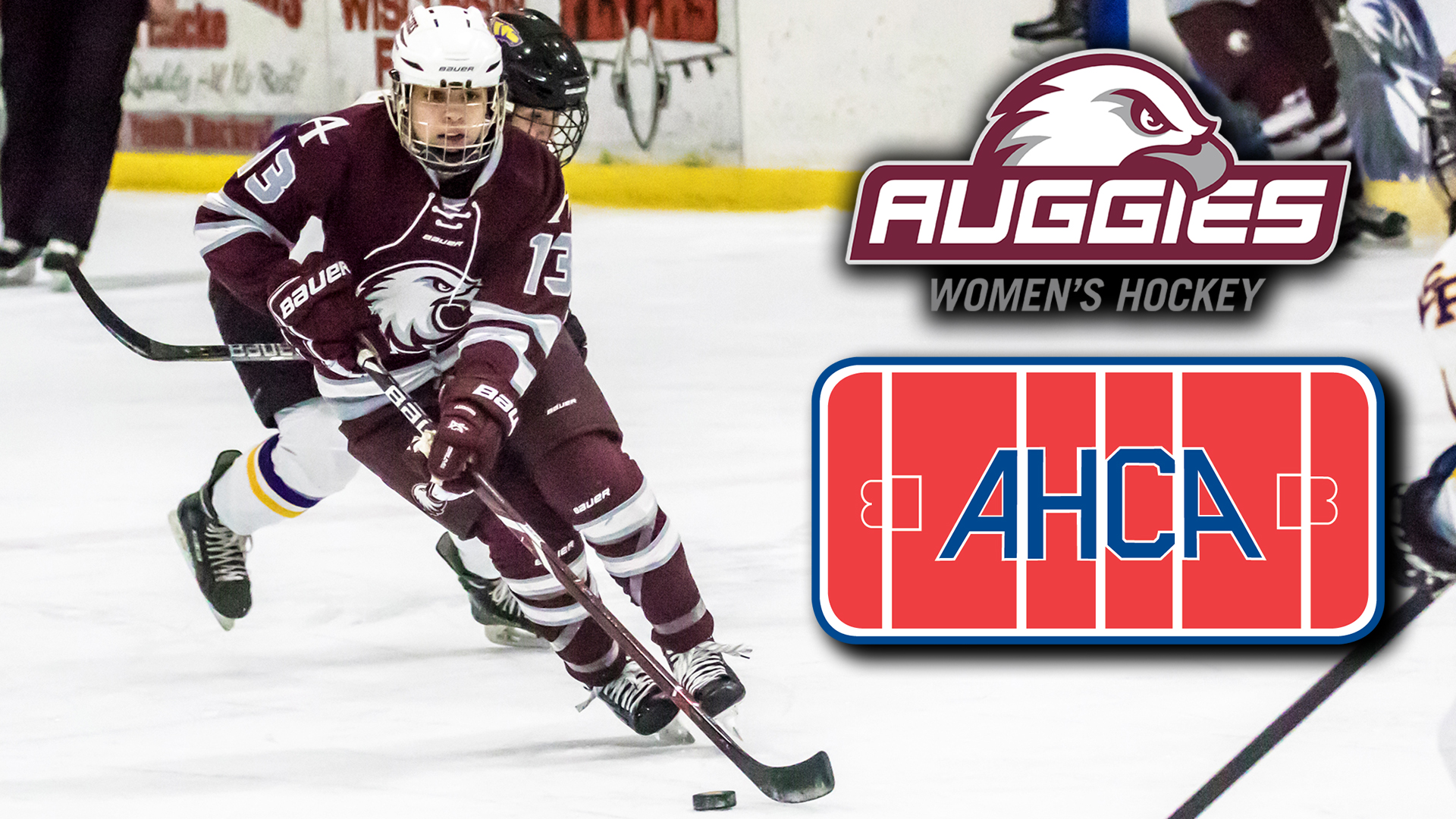 Nikki Nightengale - Women's Ice Hockey - Augsburg University Athletics