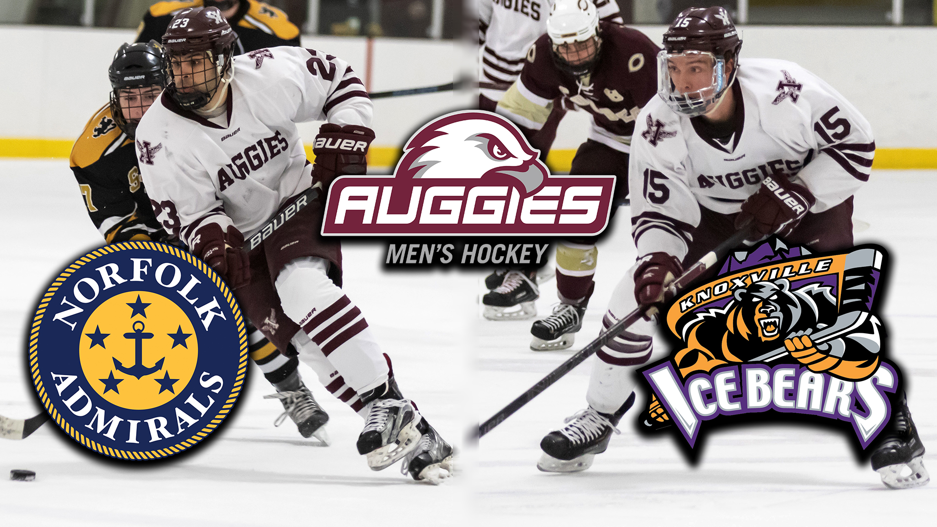 Alex Rodriguez - Men's Ice Hockey - Augsburg University Athletics