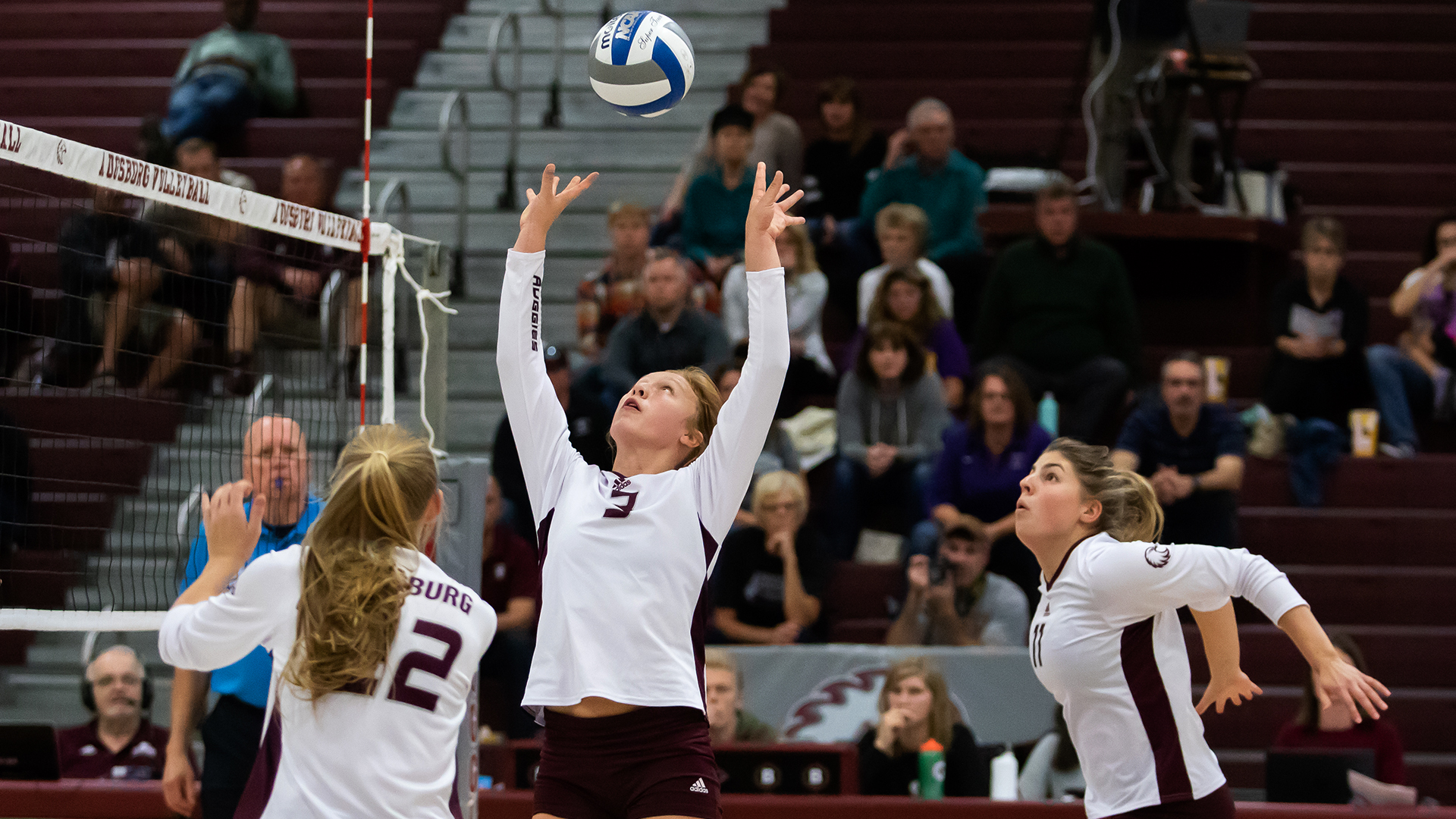 Morgan Malley - Volleyball - Augsburg University Athletics