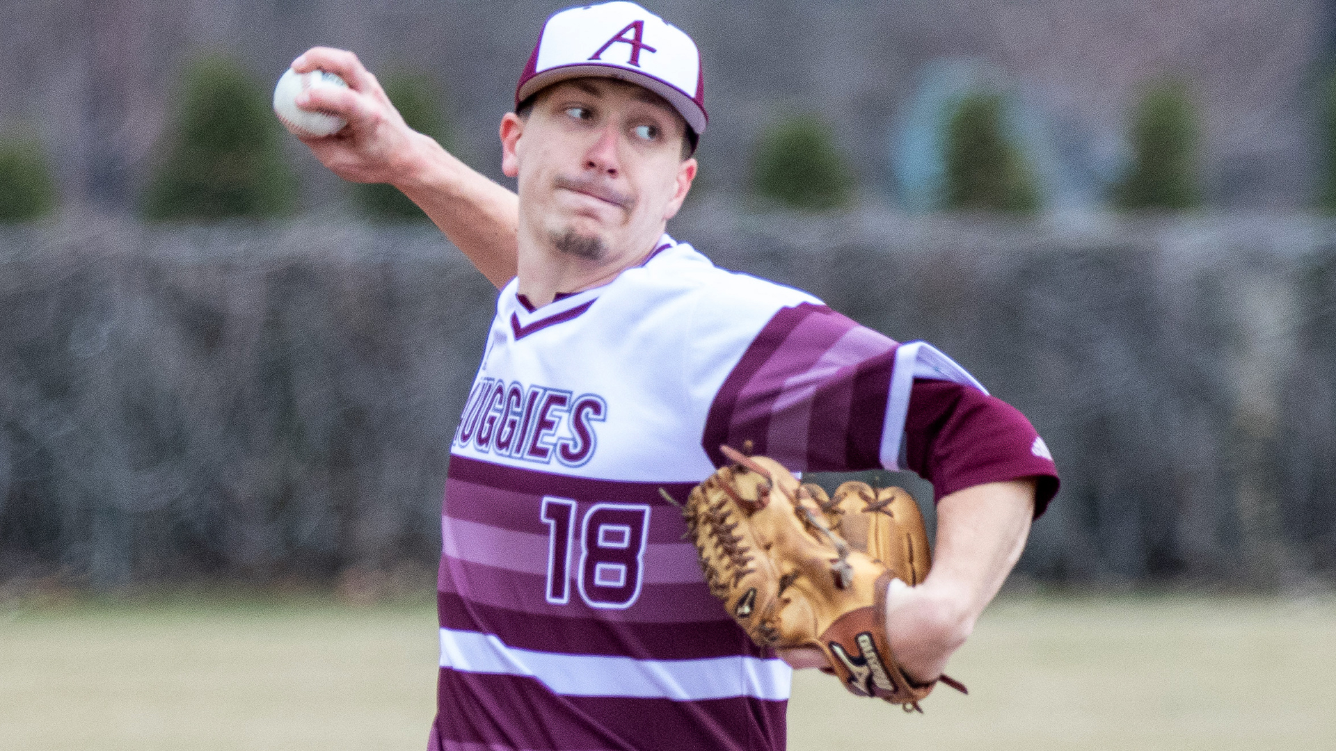 Jamie Kaye - Baseball - Augsburg University Athletics