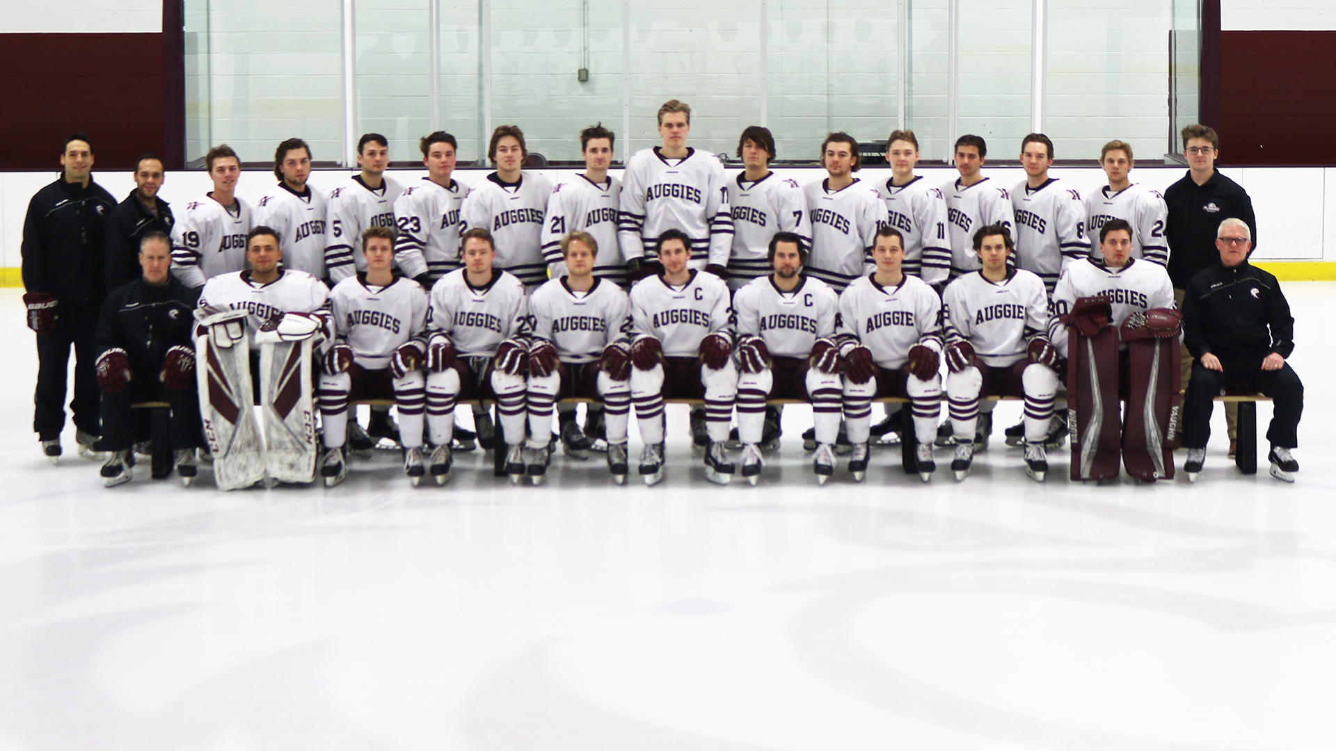 Michael Redmon - Men's Ice Hockey - Augsburg University Athletics