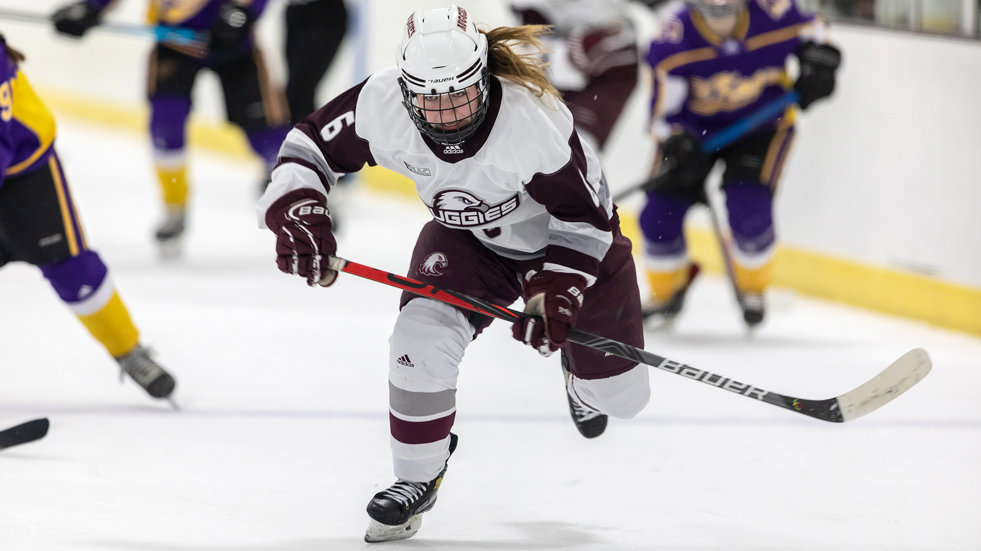 Brooke Leone - Women's Ice Hockey - Augsburg University Athletics