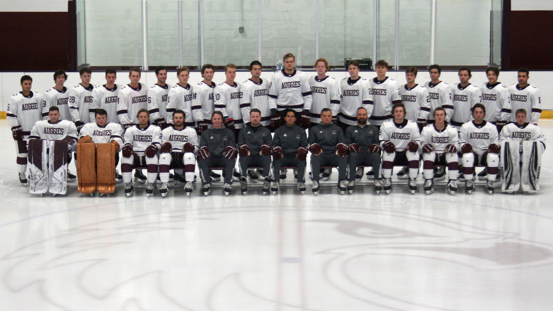 Kyler Yeo - Men's Ice Hockey - Augsburg University Athletics