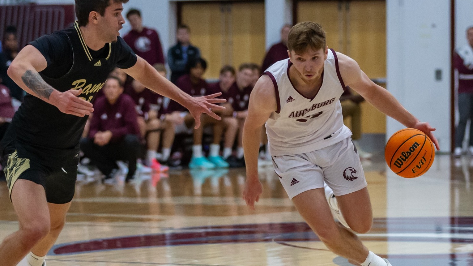Colin Meade - Men's Basketball - Augsburg University Athletics
