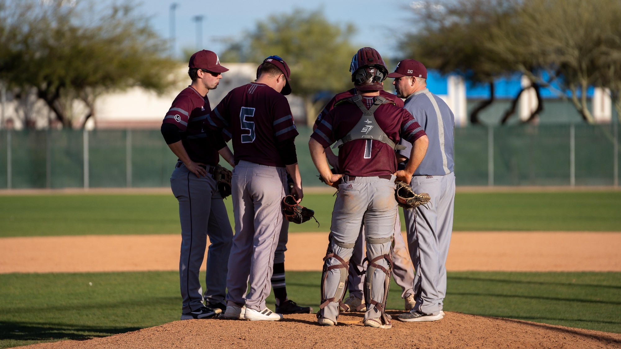 Hot Firebird bats sink Auggies - Augsburg University Athletics