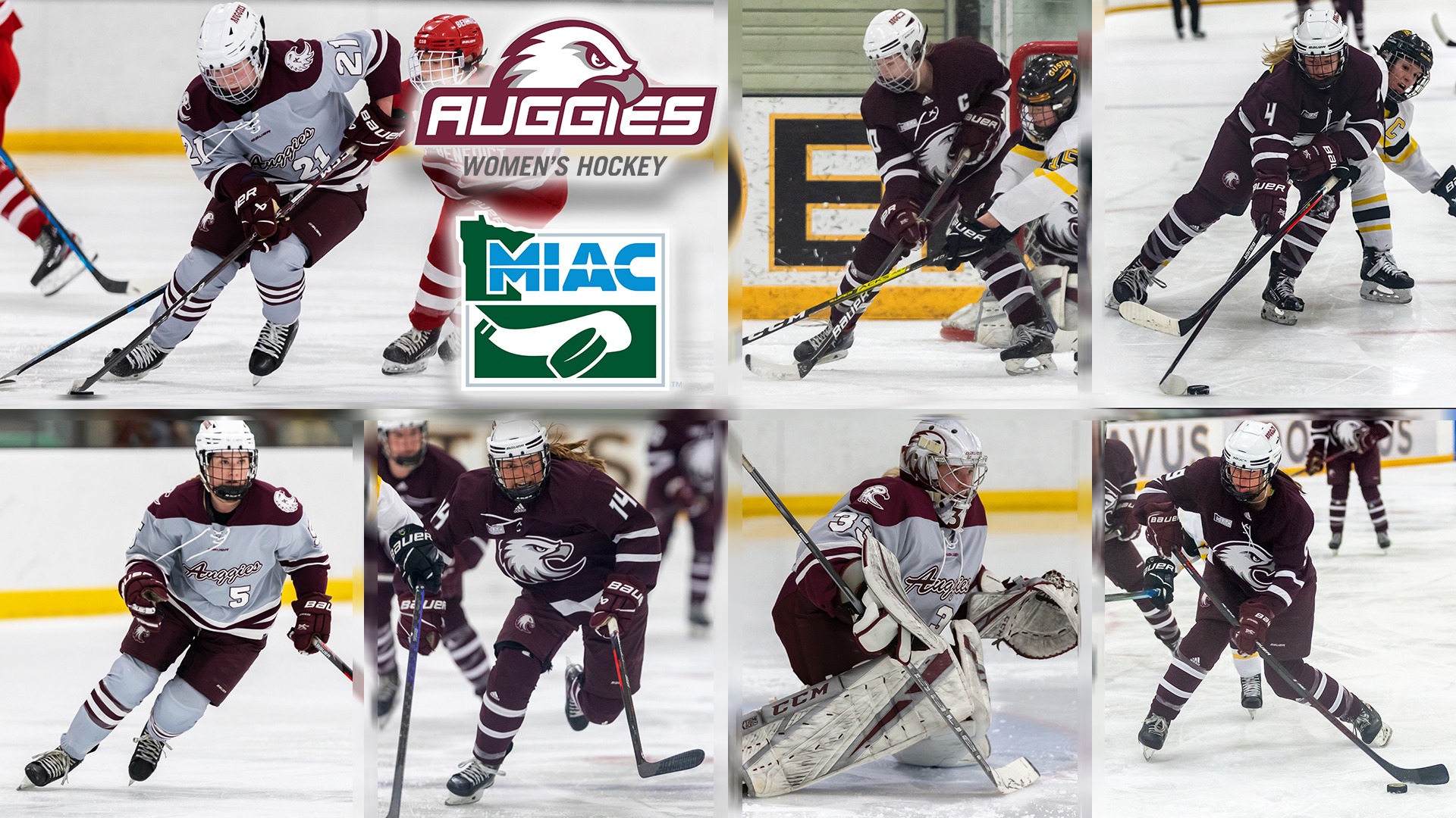 Payton Allen - Women's Ice Hockey - Augsburg University Athletics