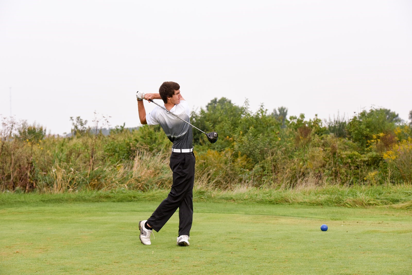 Justin Mustari - Men's Golf - Aurora University Athletics