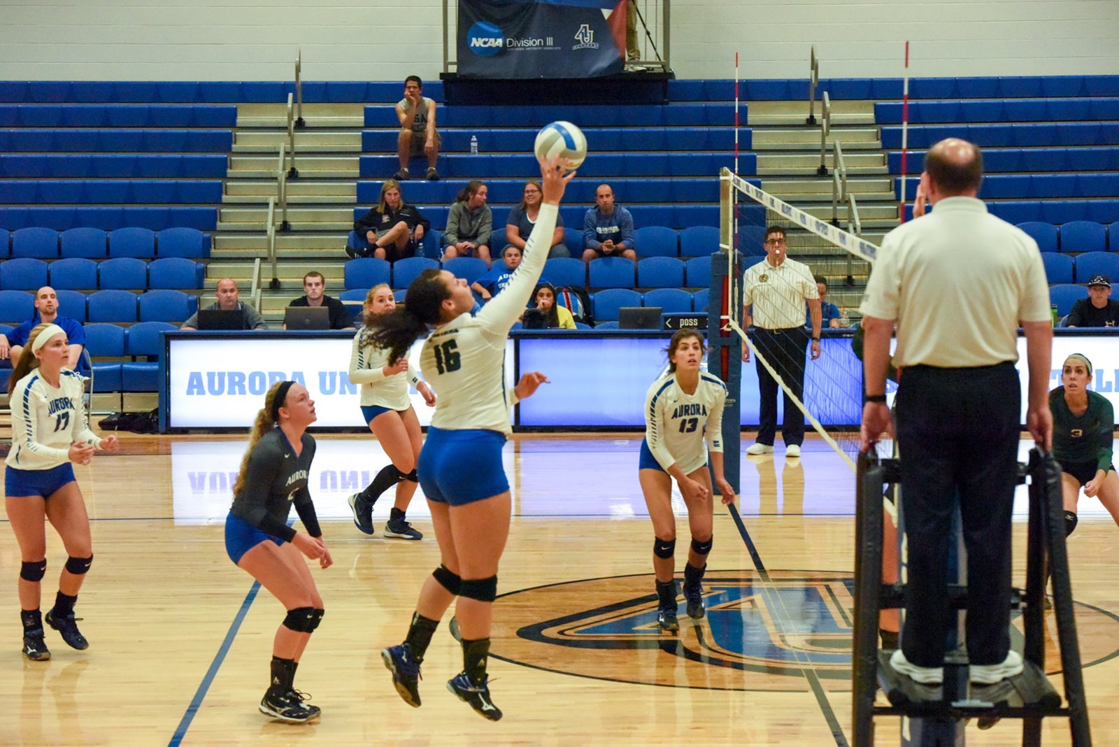 Alexis Hammond - Women's Volleyball - Aurora University Athletics