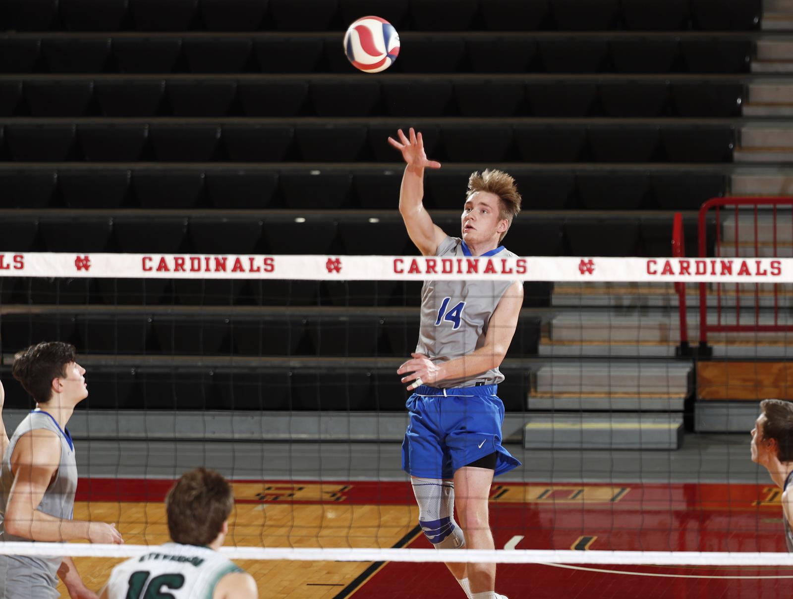 Cade Harrison - Men's Volleyball - Aurora University Athletics