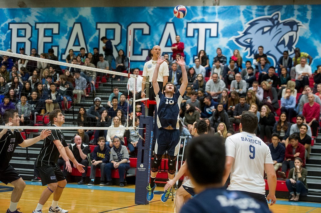 Scott Standring - 2016 - Men's Volleyball - Baruch College Athletics