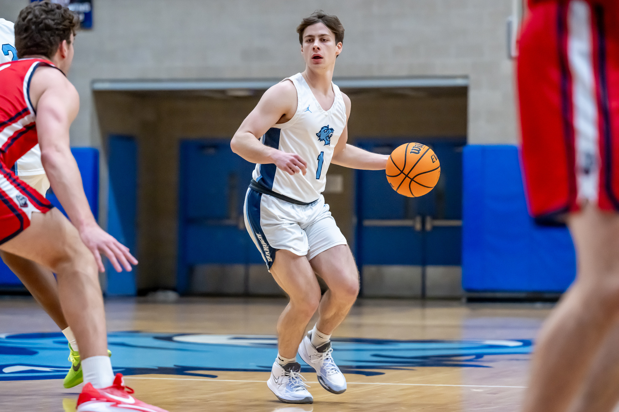 Sean Donnellan - 2023-24 - Men's Basketball - Baruch College Athletics