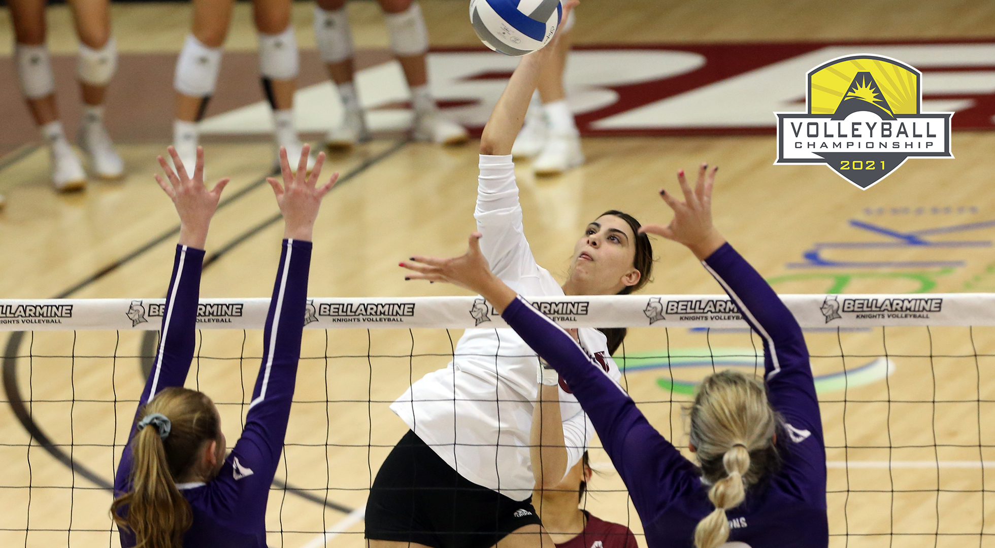 Izzie Salameh - 2020 - Volleyball - Bellarmine University Athletics