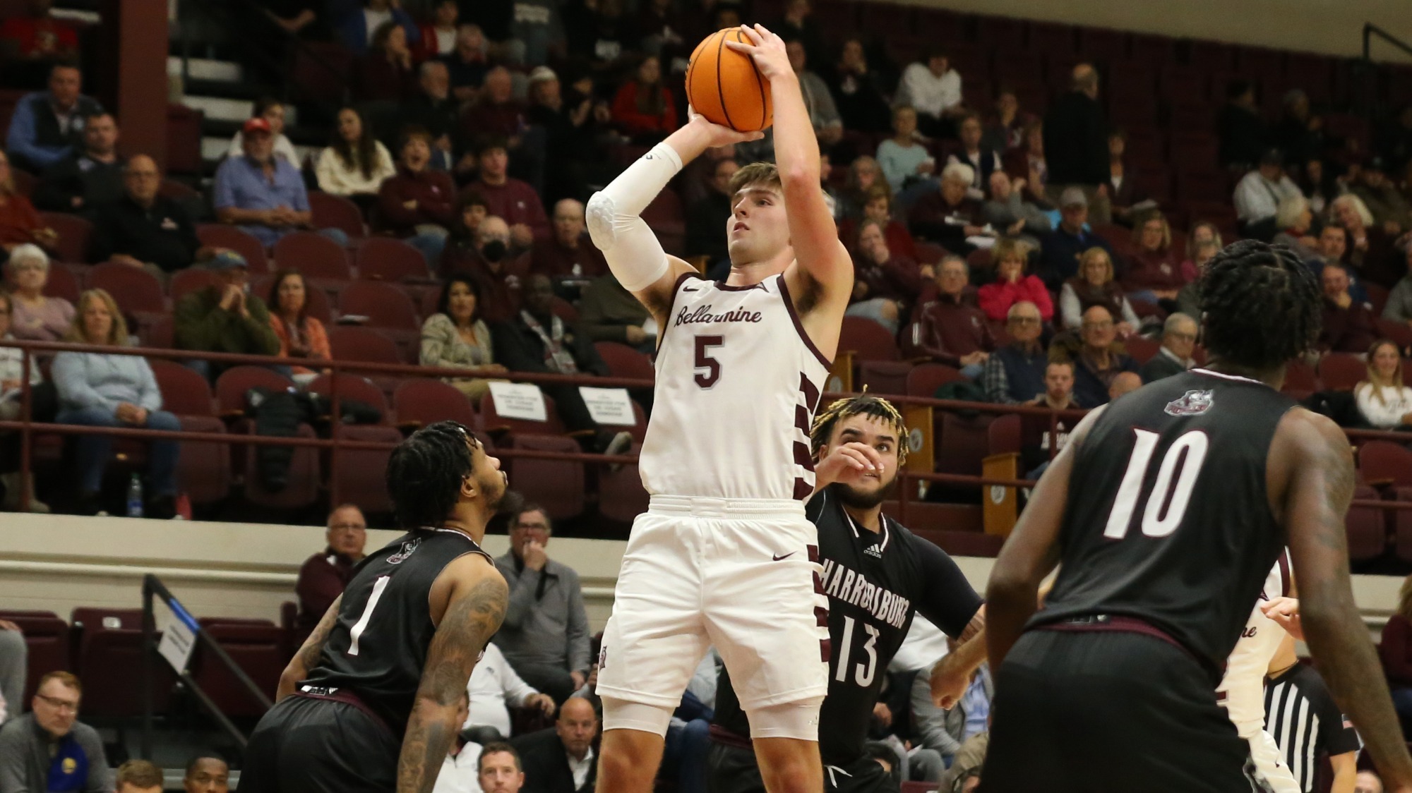 Peter Suder - 2023-24 - Men's Basketball - Bellarmine University Athletics