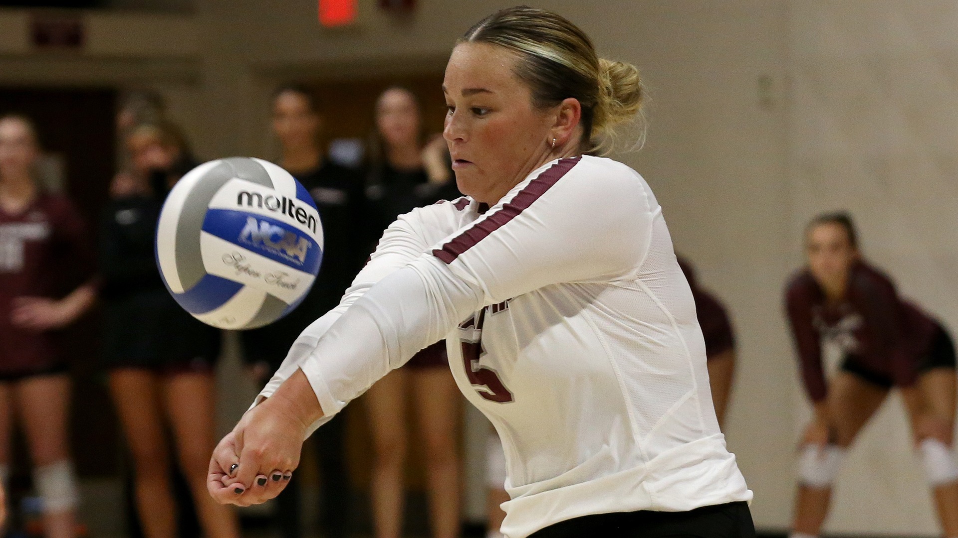 Anna Lococo - 2023 - Volleyball - Bellarmine University Athletics