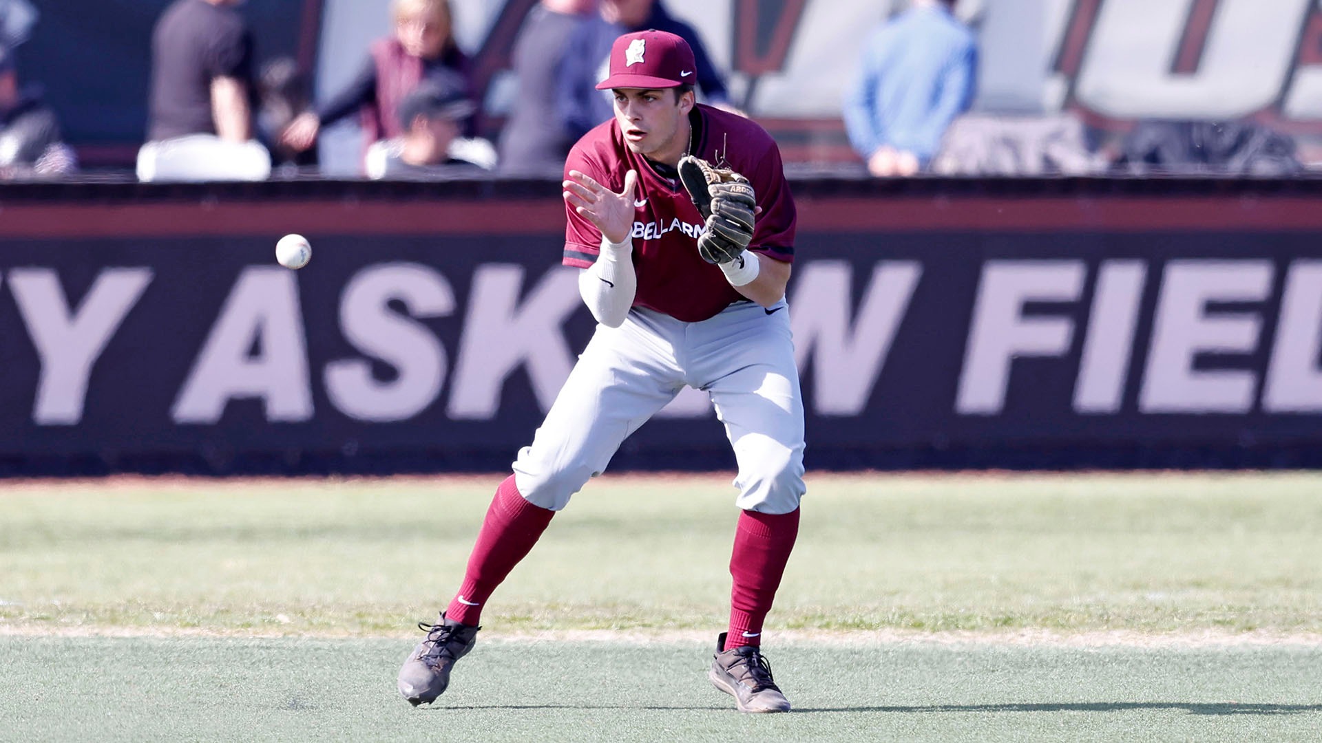 Colin Bertsch - 2023 - Baseball - Bellarmine University Athletics