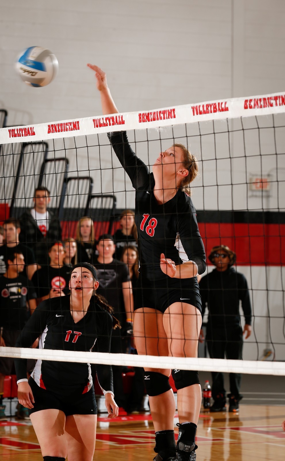 Candice Cuppini - 2013-2014 - Women's Volleyball - Benedictine ...