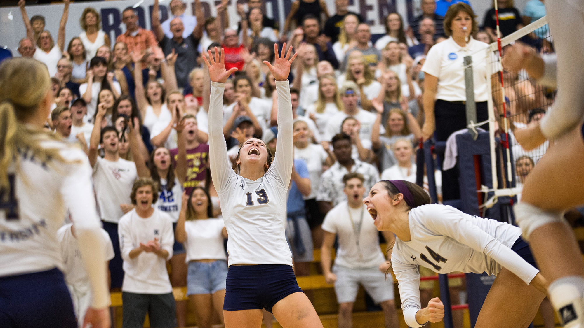 Tina Hoppe - Volleyball - Bethel University Athletics