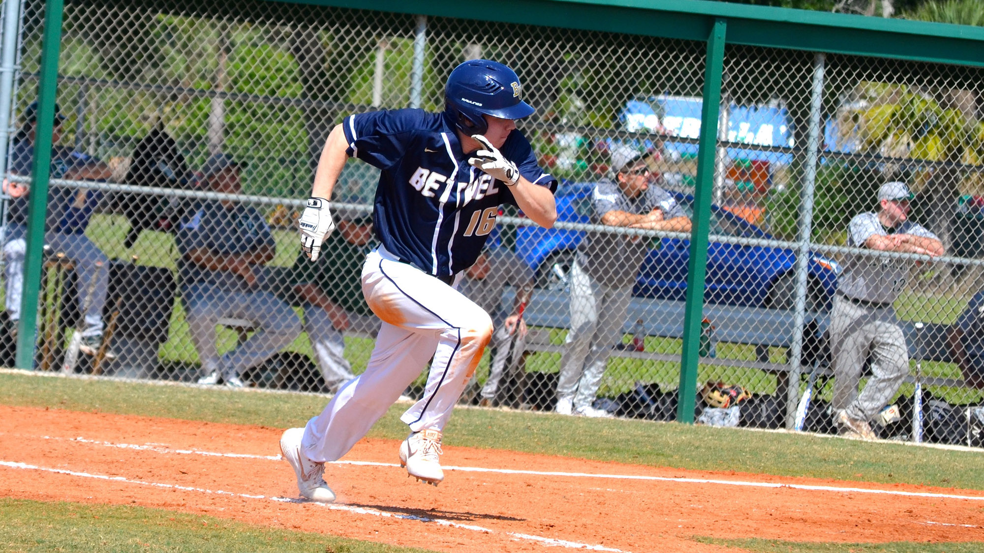Tommy Friesen - Baseball - Bethel University Athletics
