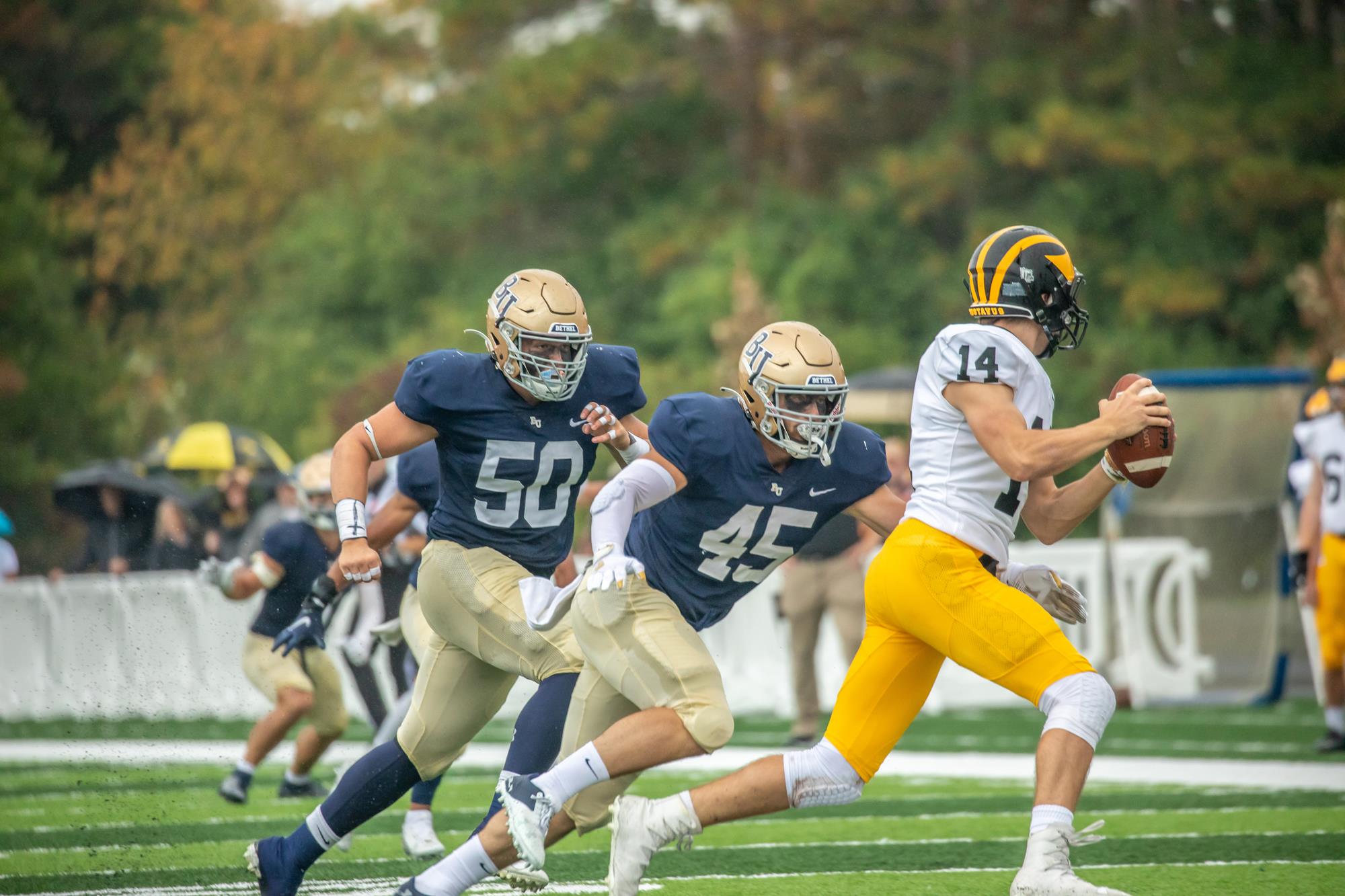 David Brandt - Football - Bethel University Athletics