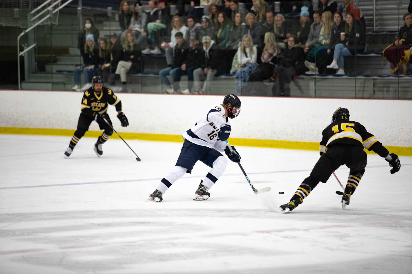 Luke Posner - Men's Hockey - Bethel University Athletics