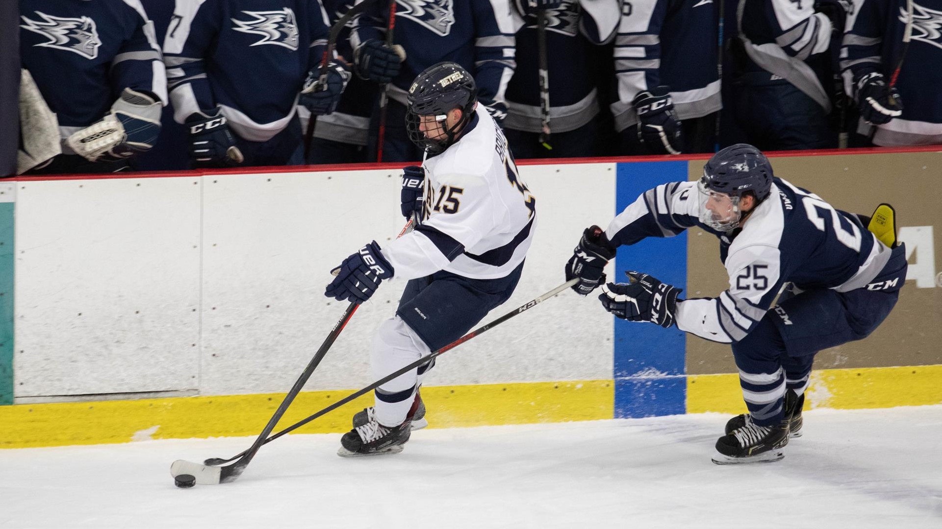 Adam Bricker - Men's Hockey - Bethel University Athletics