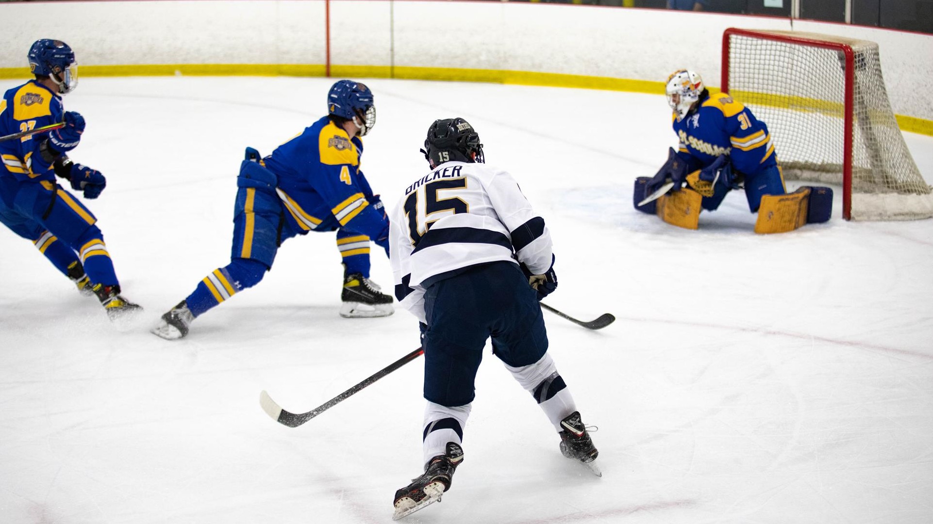 Adam Bricker - Men's Hockey - Bethel University Athletics