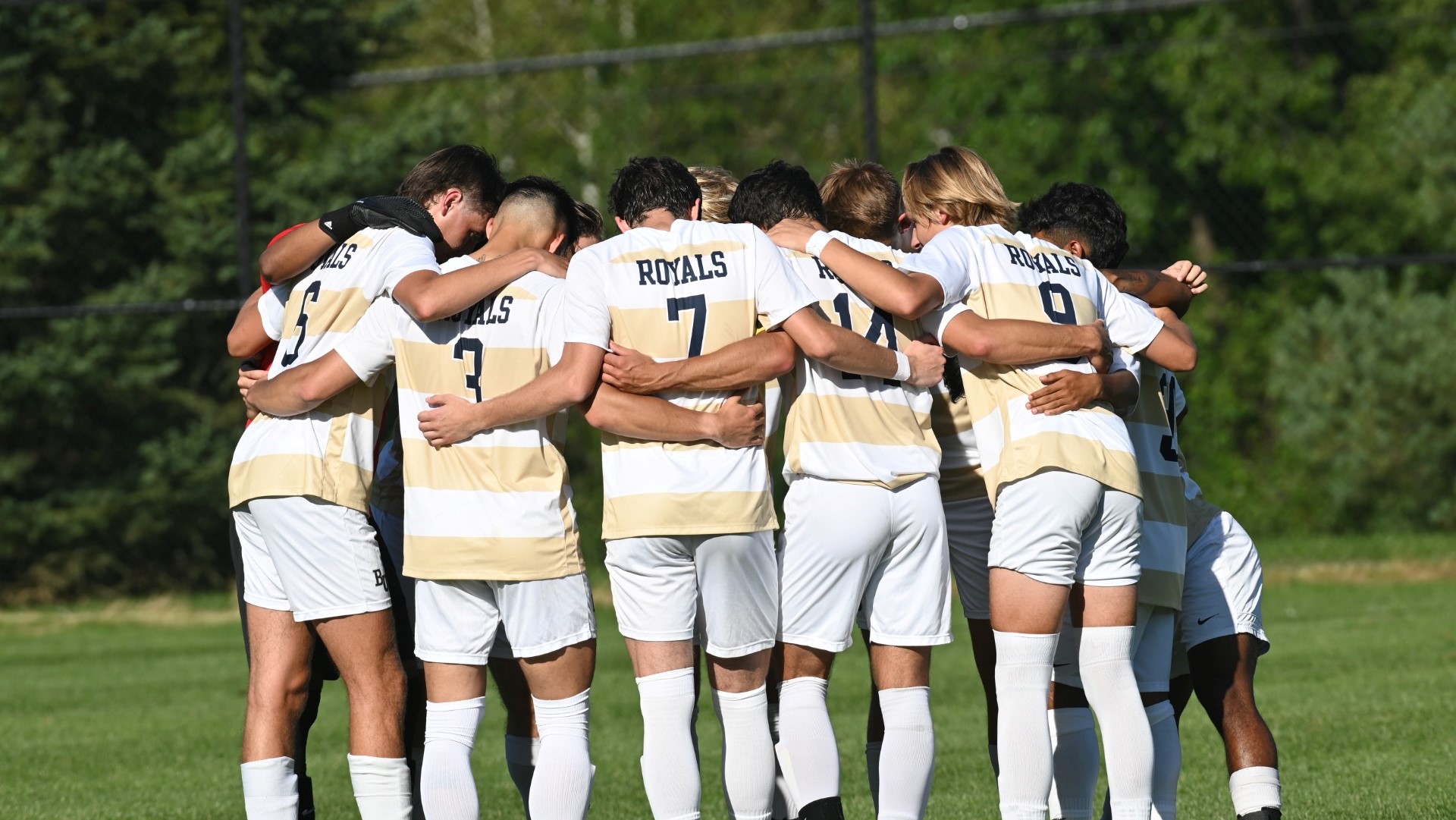 Royals Stung by Yellowjackets on the Road - Bethel University Athletics