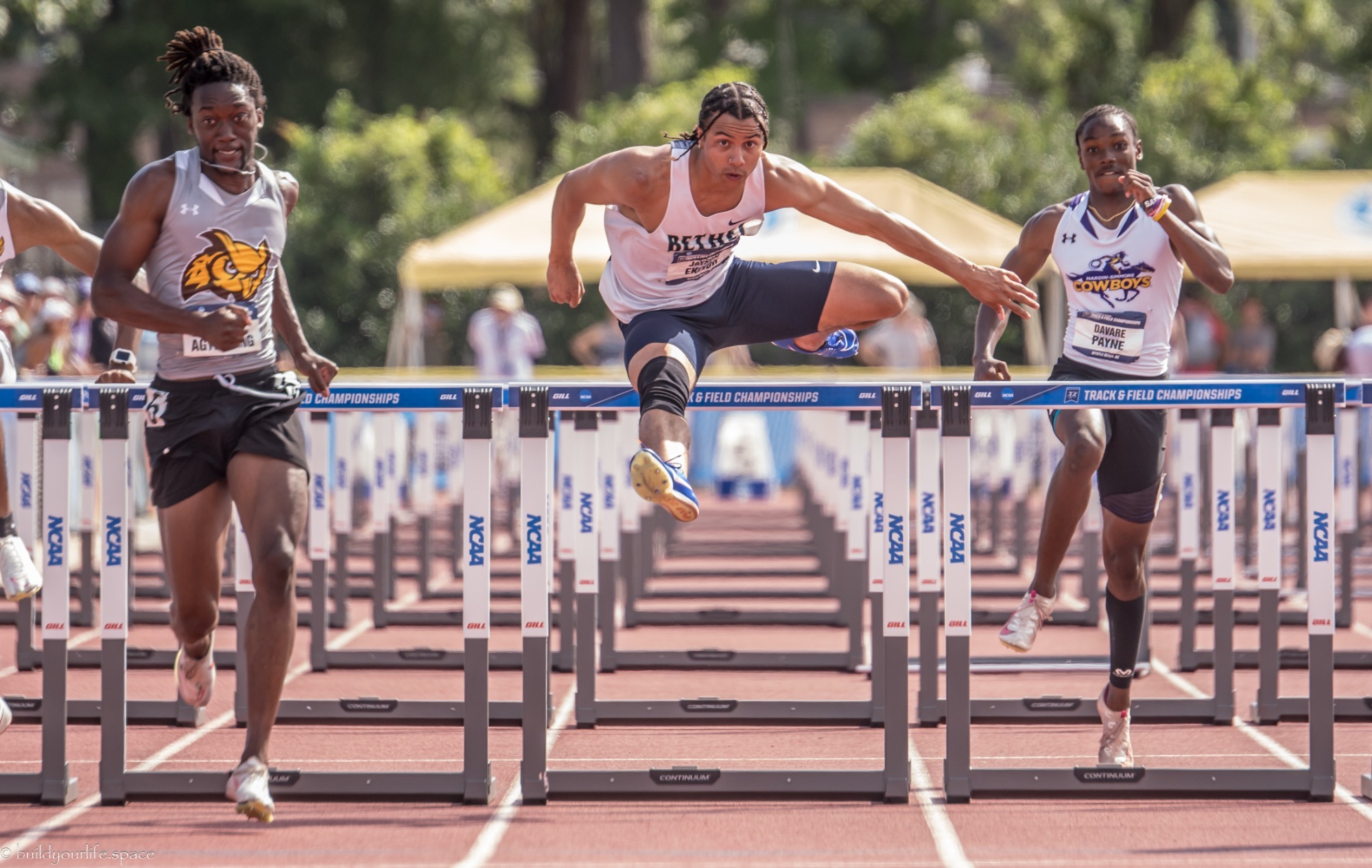 Royals 3rd Place at NCAA Championships, 4x4 Wins National Title ...