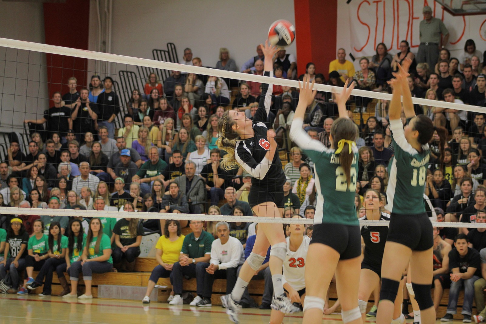 Gracee Gallarda - Volleyball - Biola University Athletics