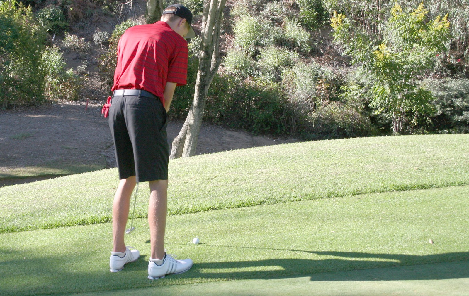 Cameron Bauer - Men's Golf - Biola University Athletics