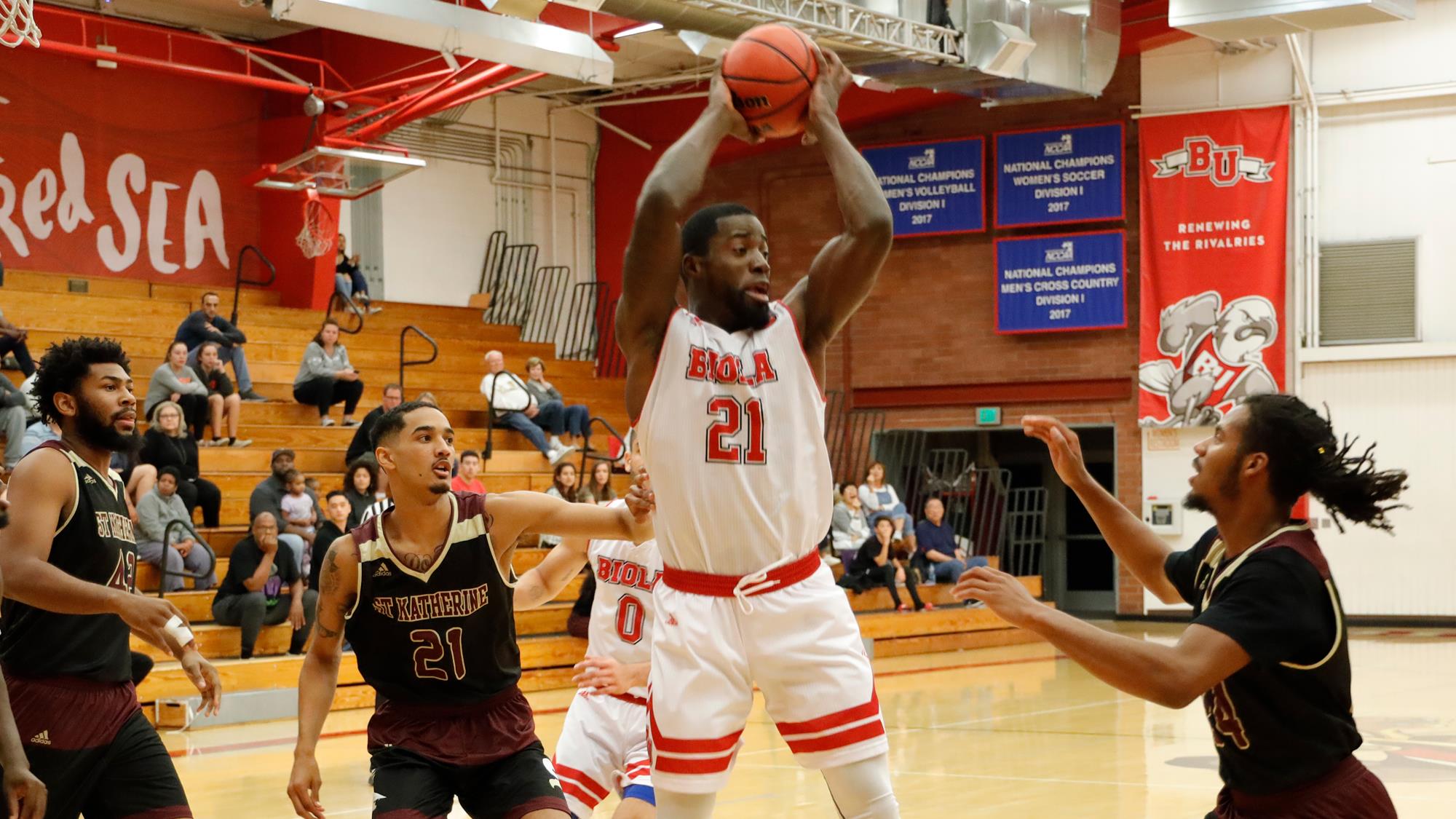 Steve Herve - Men's Basketball - Biola University Athletics