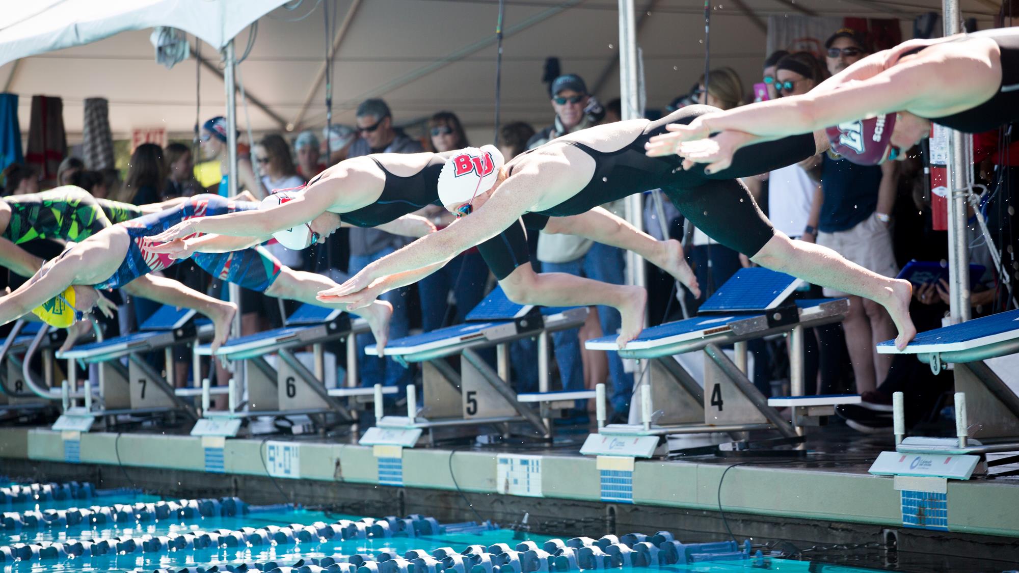 Dominique Kaijser - Women's Swimming - Biola University Athletics