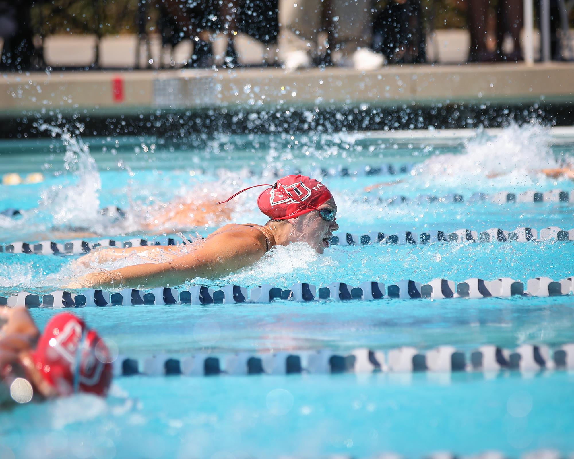 Anna Cohee - Women's Swimming - Biola University Athletics