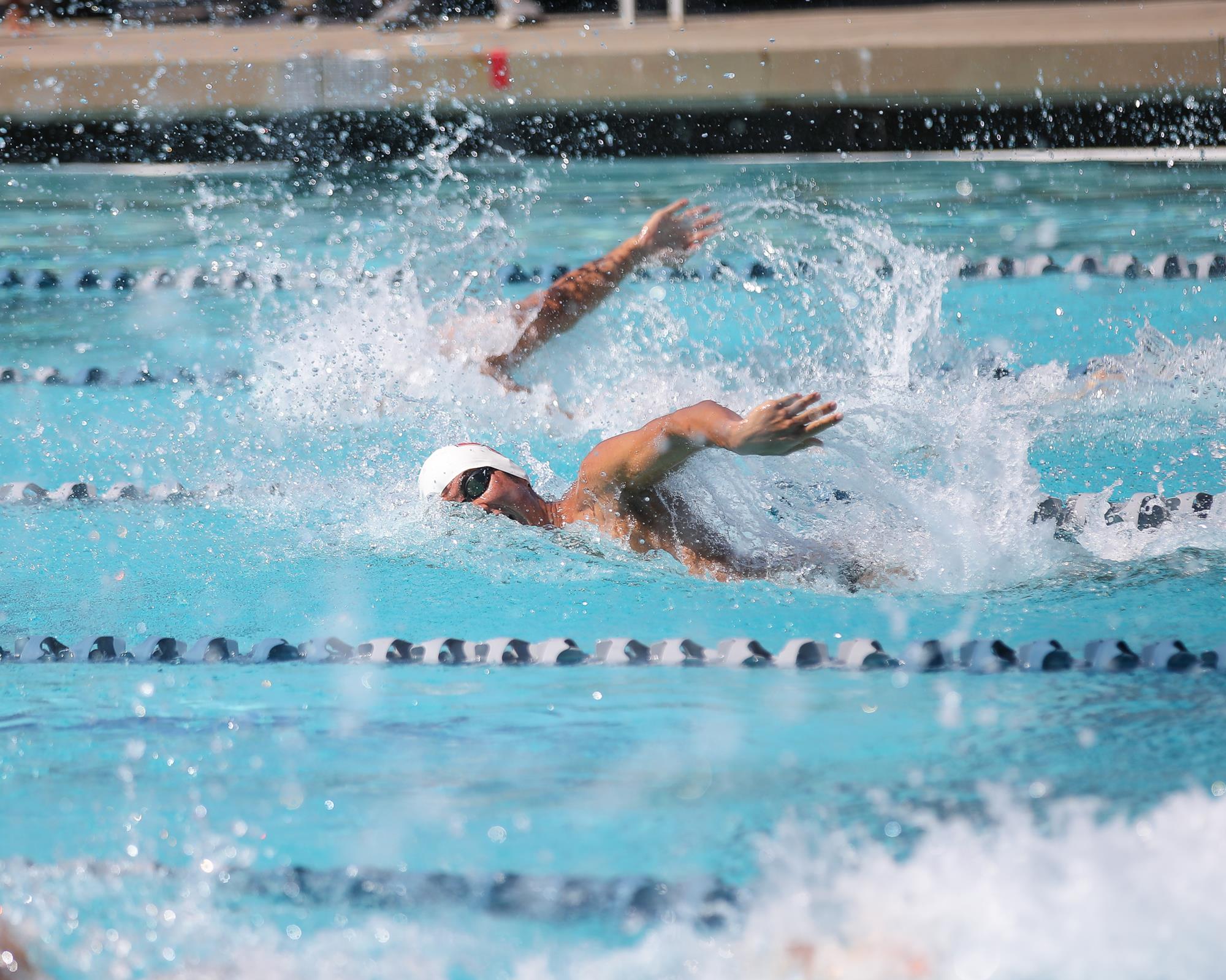 Tanner Smith - Men's Swimming & Diving - Biola University Athletics