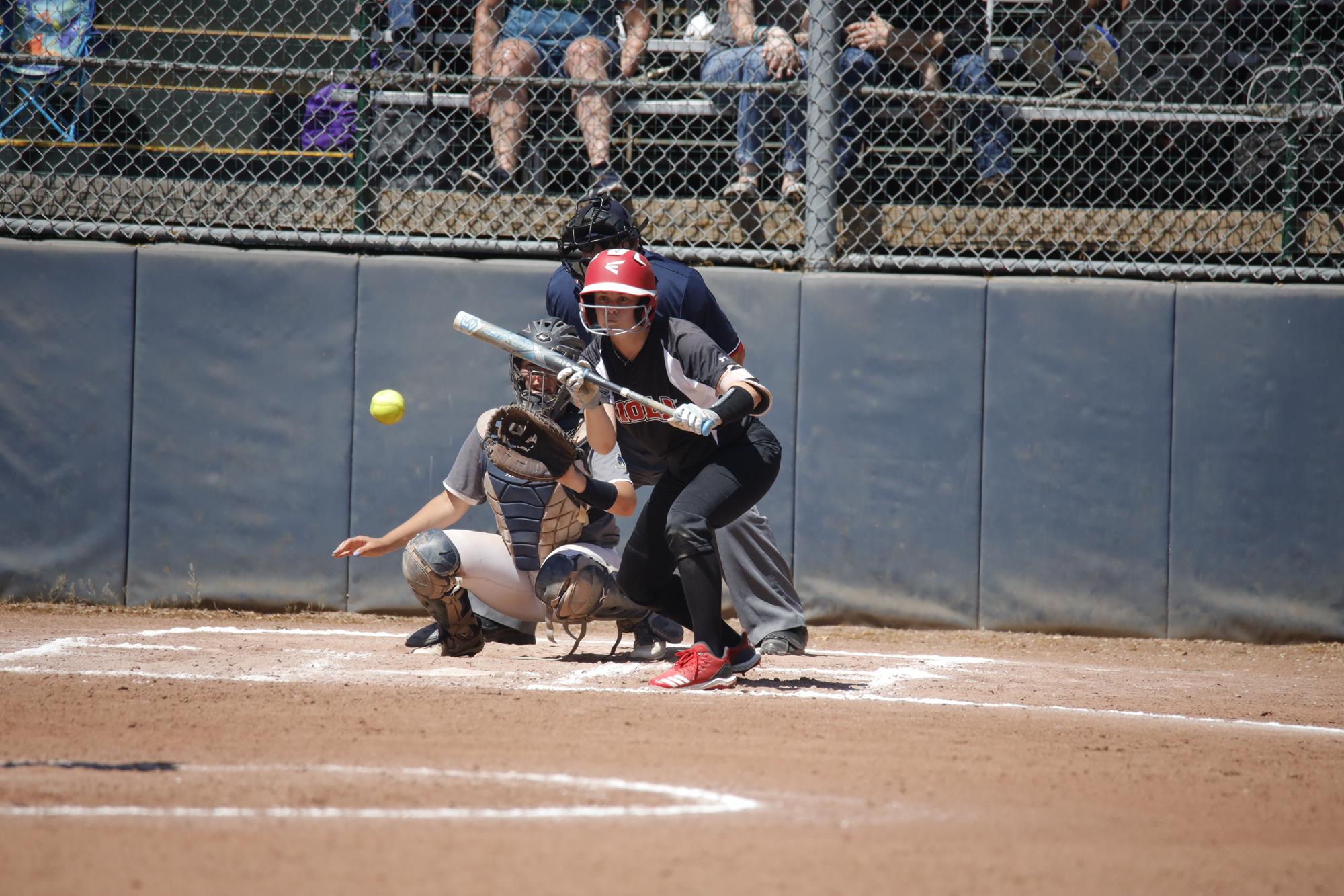 Madison Blossey - Softball - Biola University Athletics
