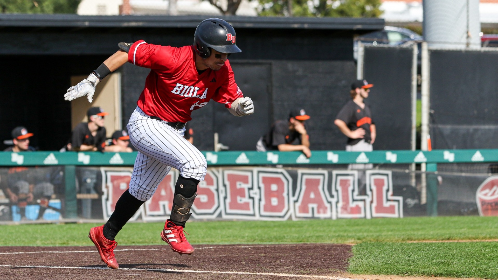 Austin Carrillo - Baseball - Biola University Athletics