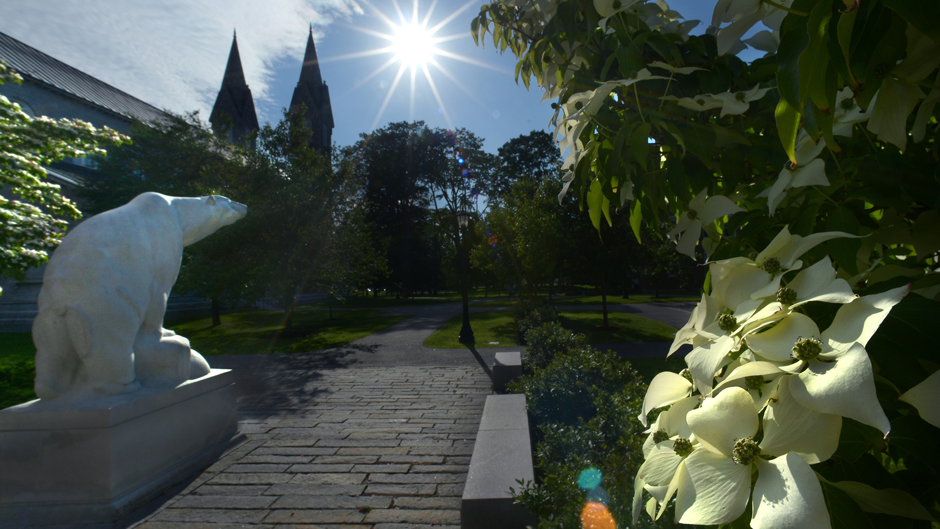 Click Here for Latest Update on Spring Semester Activity for Bowdoin ...