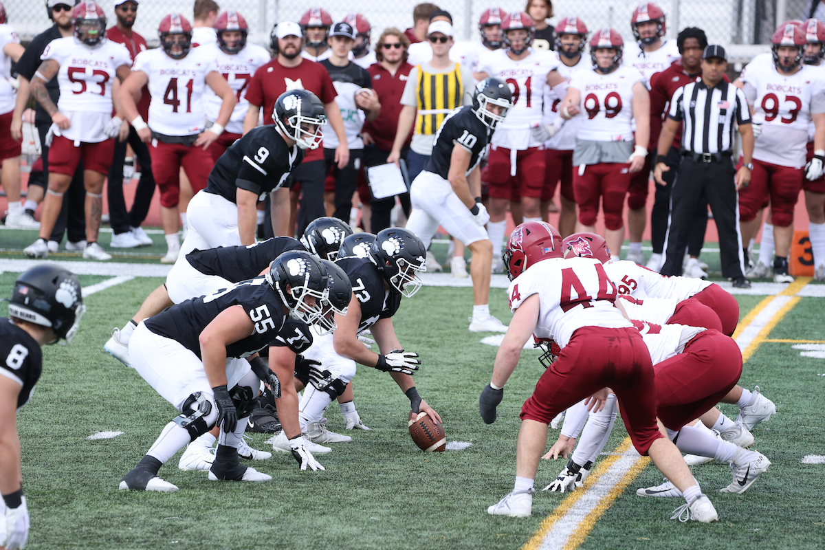 Four Polar Bears Named in All-NESCAC Football Honors - Bowdoin College
