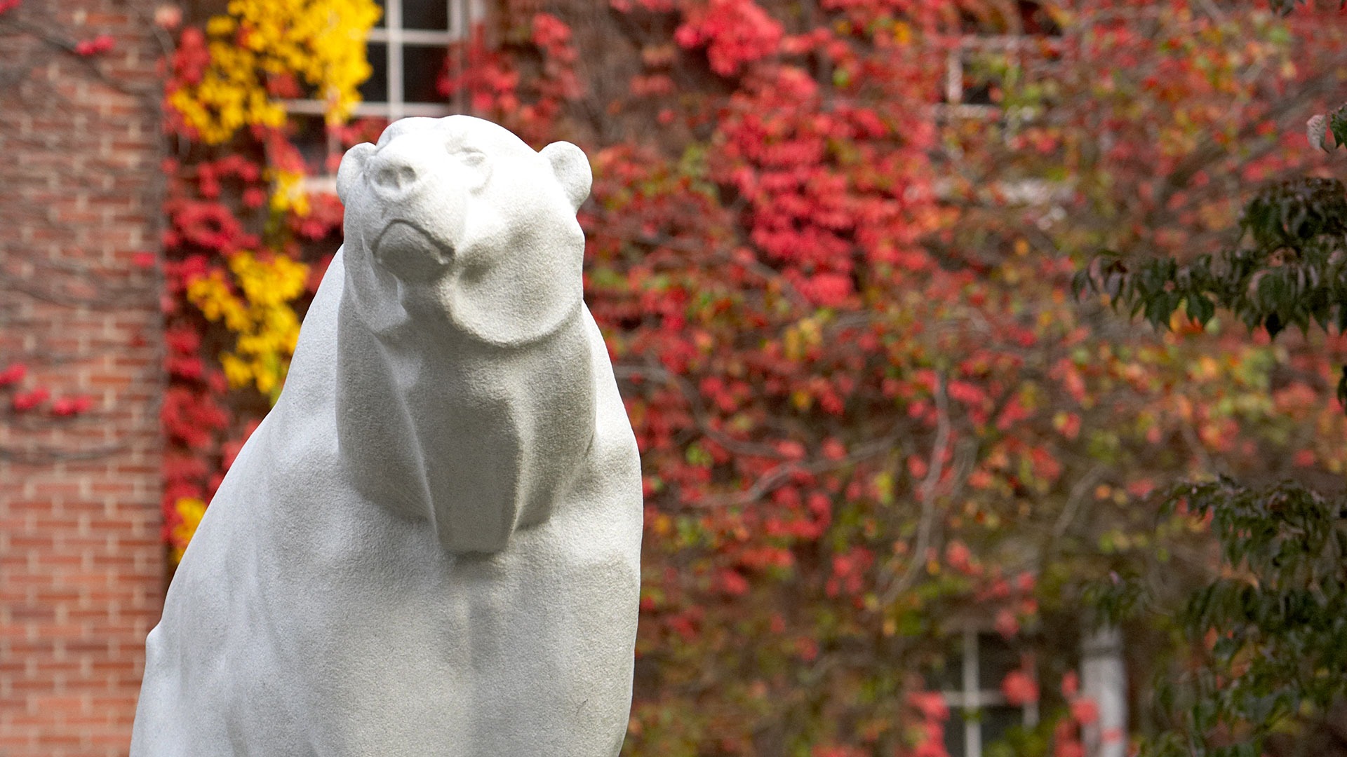 Polar Bears to Host "Hockey Day in Brunswick" November 26 at Watson ...