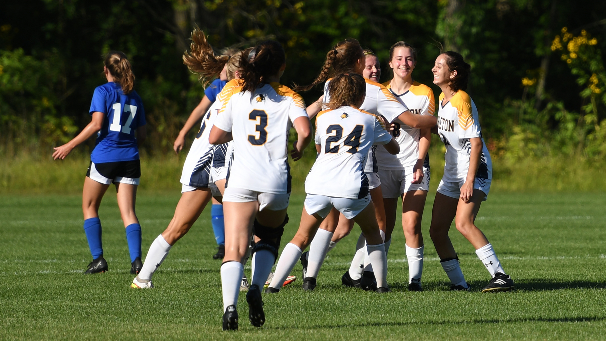 Knights erase early deficit, best Luther 2-1 in season lid-lifter ...