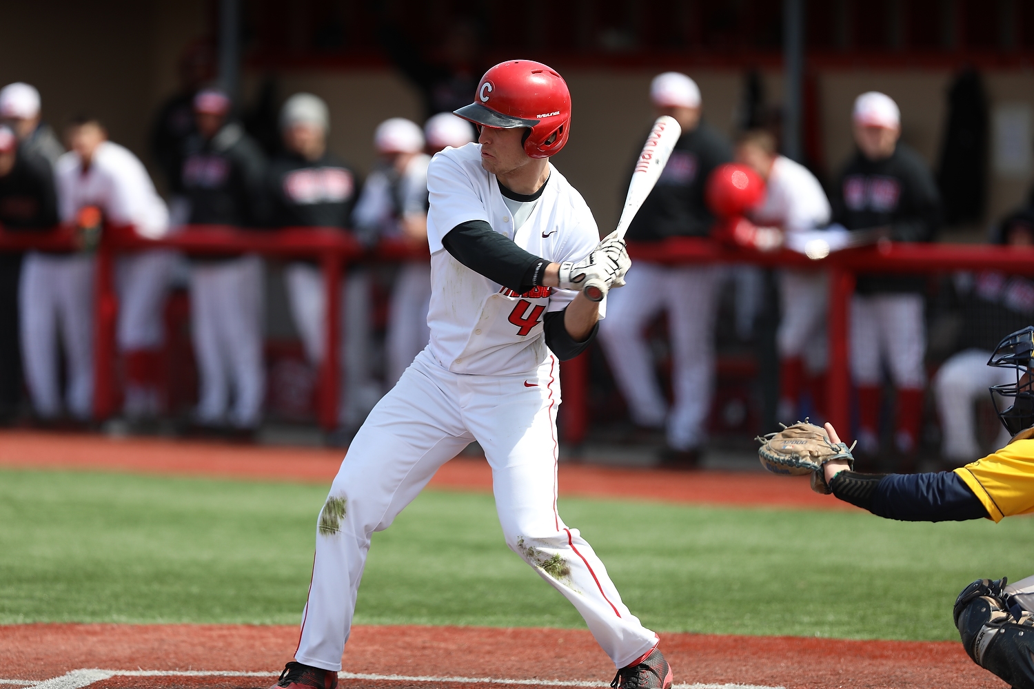 Ben Levicki - Baseball - Carthage College Athletics