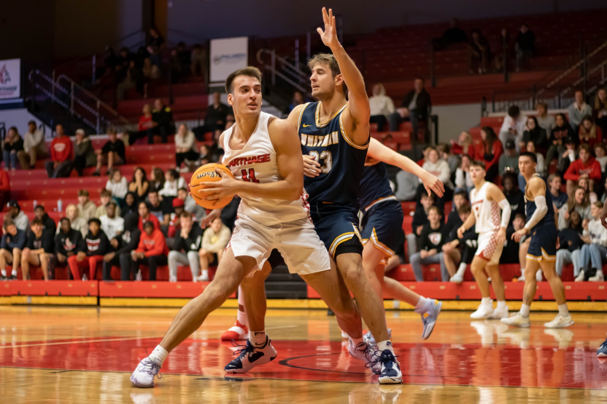 Fillip Bulatovic - Men's Basketball - Carthage College Athletics