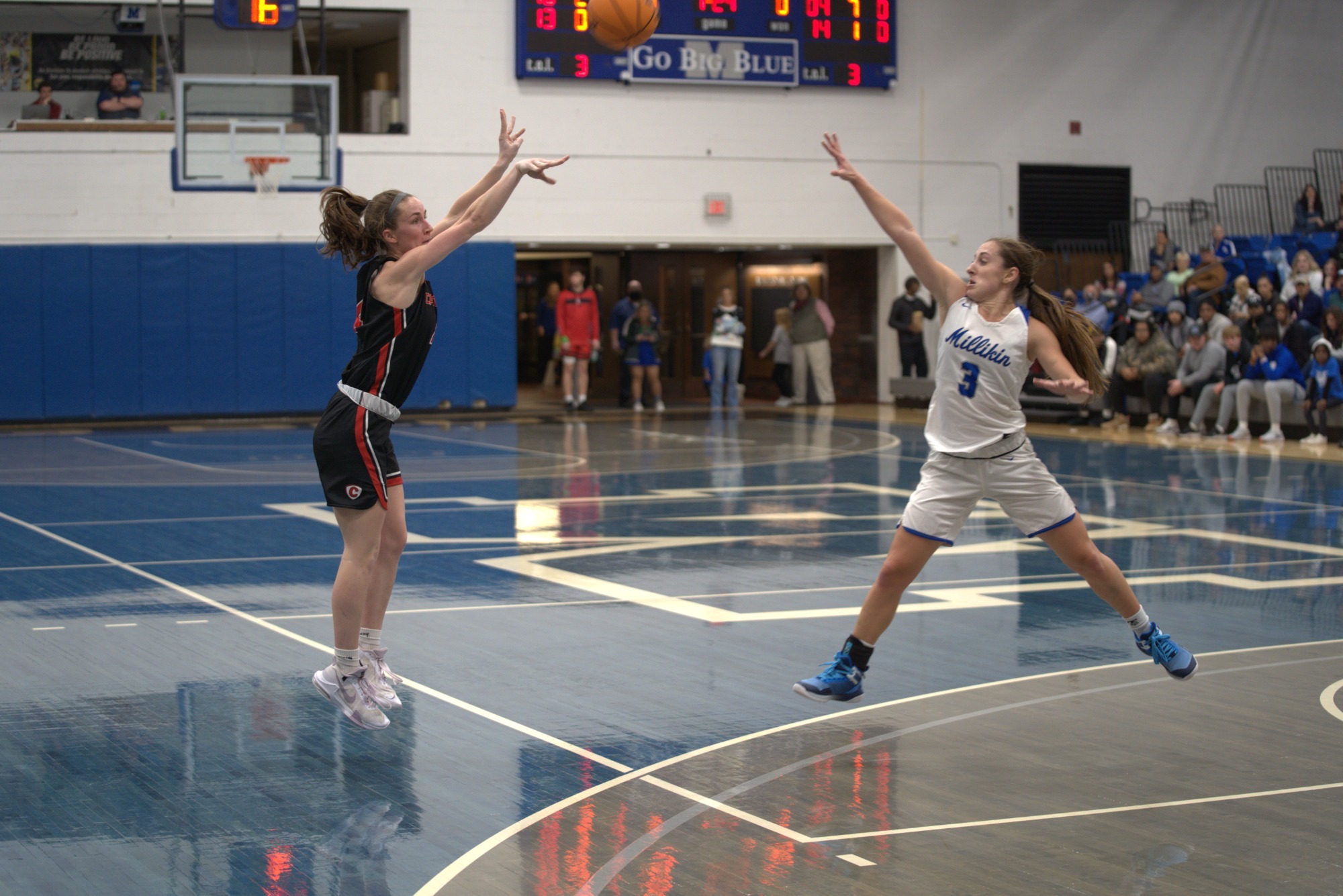 Lauren Knight - Women's Basketball - Carthage College Athletics