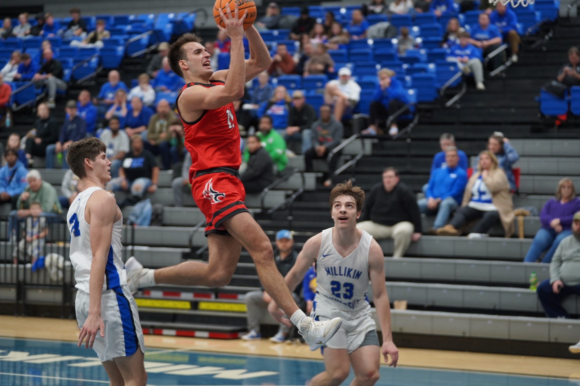 Fillip Bulatovic - Men's Basketball - Carthage College Athletics