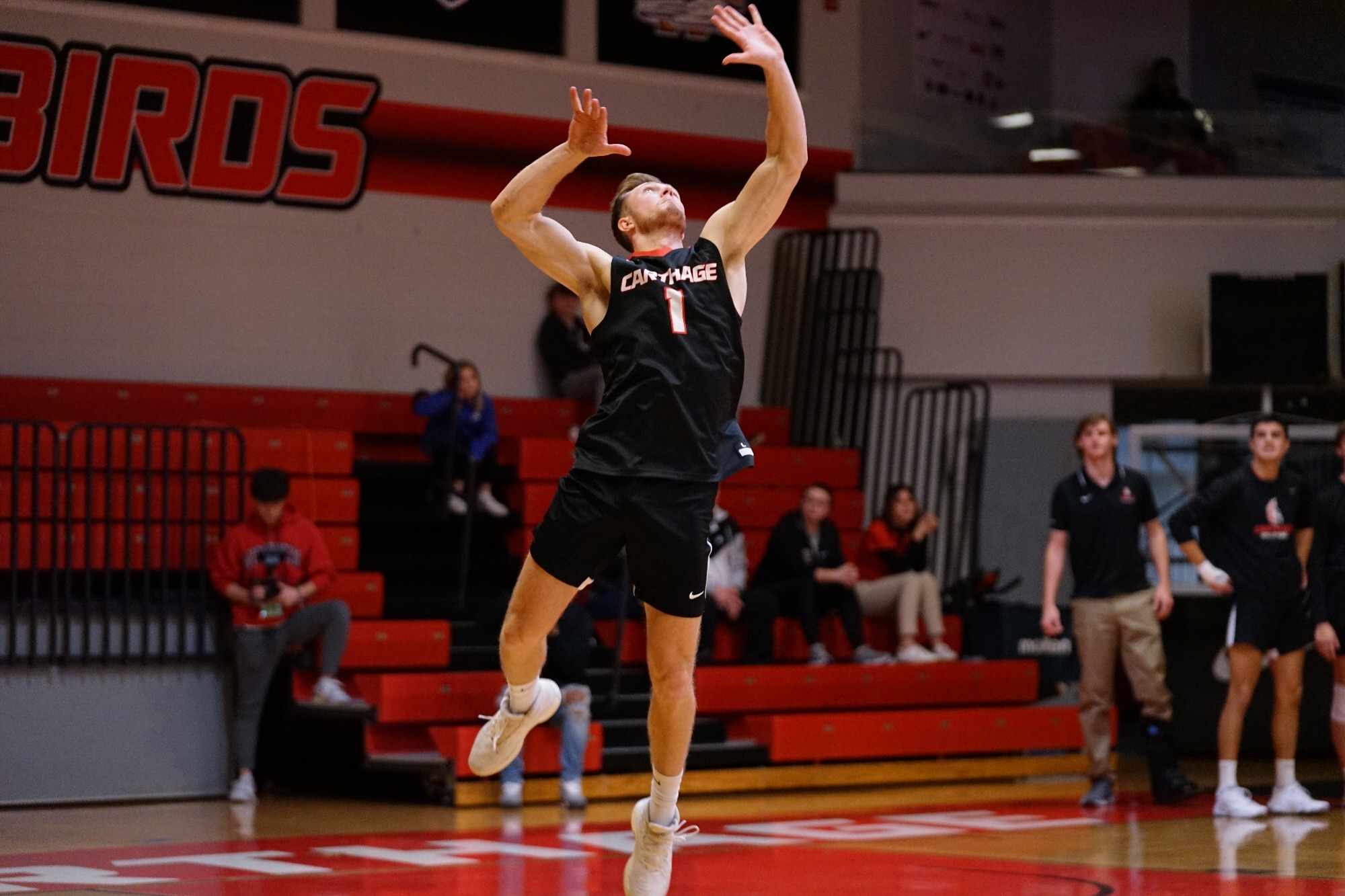 Carter Schmidt - Men's Volleyball - Carthage College Athletics