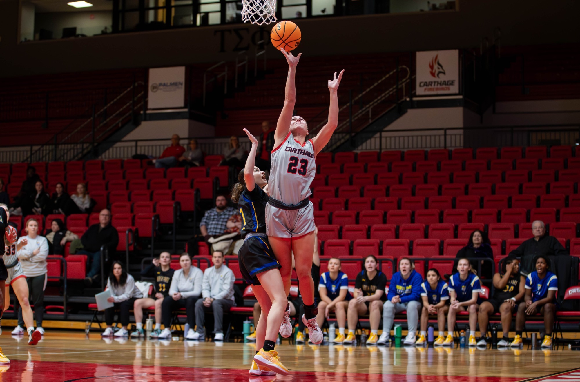 Addison Ebeling - Women's Basketball - Carthage College Athletics